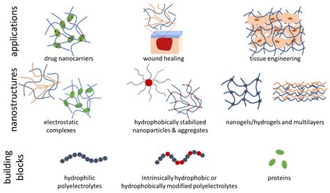 Current Research On Polyelectrolyte Nanostructures From Molecular Interactions To Biomedical