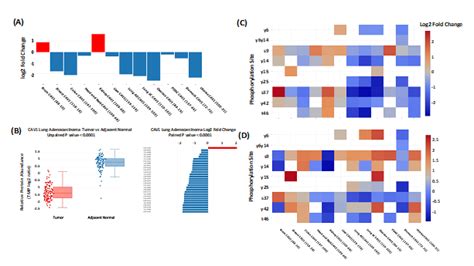 Cprosite A Web Based Interactive Platform For Online Proteomics Phosphoproteomics And