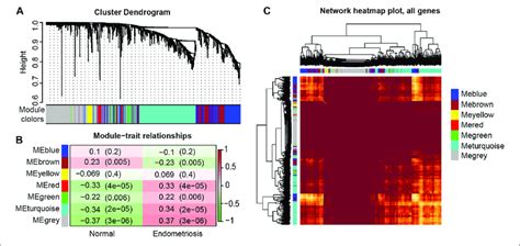 Identification And Characterization Of Endometriosis Associated