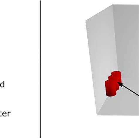 Measurements Used For Sex Determination Vdh — Vertical Diameter Of The