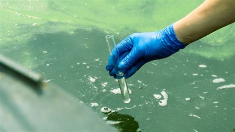 Veleni In Veneto La Resa Dei Conti Condanne Esemplari Per I Manager Miteni