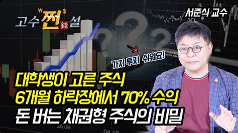 고수쩐설 지난 6개월의 약세장 에서도 크게 오른 주식 26가지의 비밀 이것만 알면 투자가 쉬워져요 주가급락 서준식 교수 Youtube