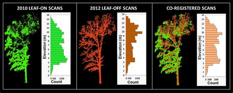Co Registration Of Terrestrial Laser Scanning Tls Scans For A Post Download Scientific