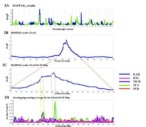 2│genome Wide Scan For Putative Signatures Of Selection Using Hapflk