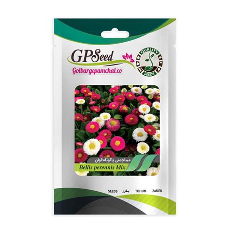 قیمت و خرید بذر گل مینا چمنی پا کوتاه الوان جی پی سید مدل Gp783