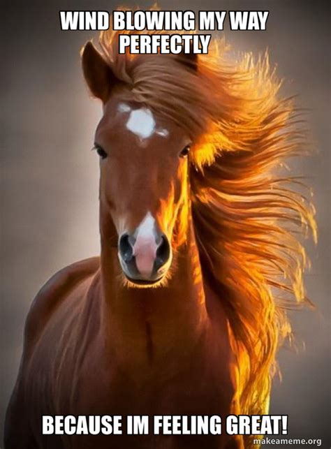 Wind Blowing My Way Perfectly Because Im Feeling Great Ridiculously