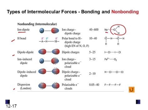 The Ultimate Intermolecular Forces Worksheet Answer Key Uncover The