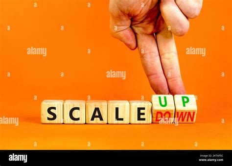 Scale Up Or Down Symbol Concept Words Scale Up Scale Down Wooden Cubes