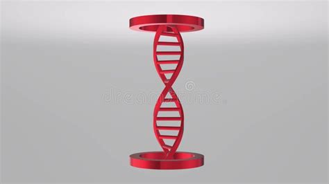 3d Red Plexus Dna Code Dna Double Helix 3d Animation Of Dna Nucleotide Molecules Stock Footage