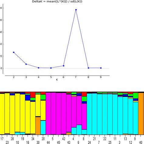 Dendrogram Based On Seed Protein Profiles Download Scientific Diagram