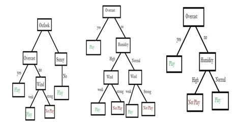 random forest with practical implementation by amir ali wavy ai