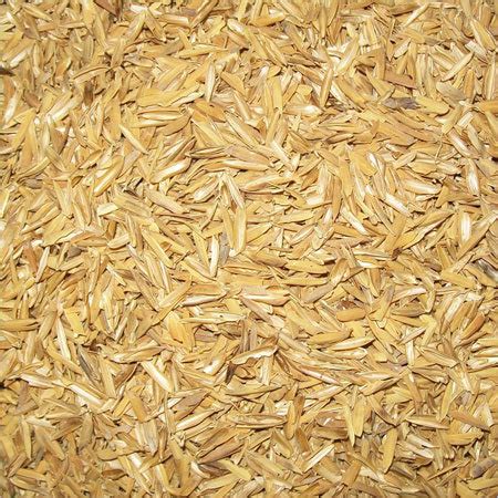Rice Husk Rice Husk Exporter Manufacturer Supplier Trading Company Burdwan India