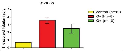 Renoprotective Effect Of Irbesartan In A Rat Model Of Gentamicin Induced Nephrotoxicity Role Of