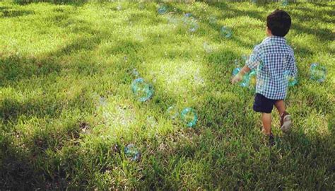 Lawn Bubbles Under Grass Know All About Benefits Removal Of Lawn Blisters Creating An