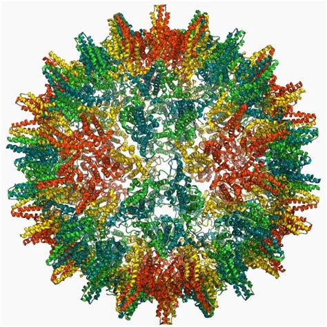Hepatitis B Virus Capsid Molecular Model F006 9637