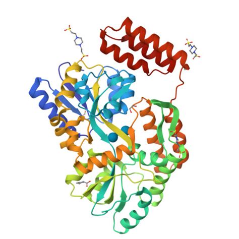 Rcsb Pdb 7kd5 Structure Of The C Terminal Domain Of The Menangle