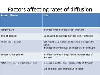 Diffusion And Osmosis PPTX