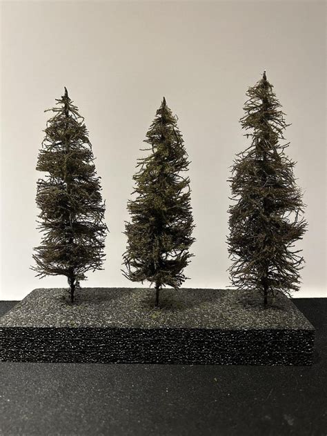 7 Model Blue Spruce Pine Tree Etsy