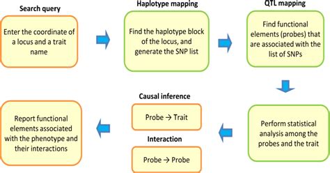 Figure 1 From Understanding The Function Of A Locus Using The Knowledge