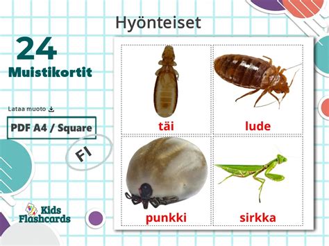Ilmainen Hyönteiset Lasten Kuvakortta Pdf Muodossa Suomiksi