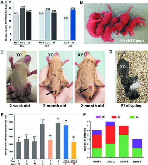 Viable And Fertile Monosomic Xo Female Clonal Mice Generated From 39