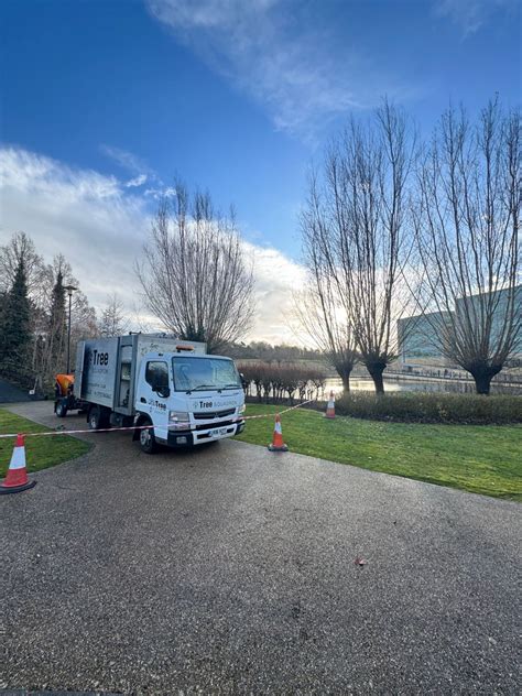 Tree Squadron Ltd On Linkedin Diligence Professional Environment