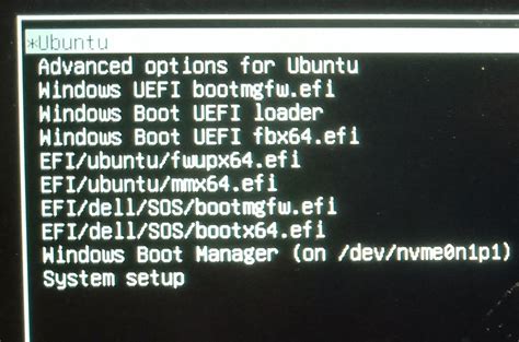 how do i fix the partitions and dual boot with windows 10 ubuntu 19