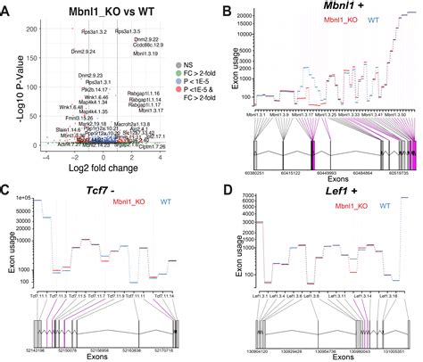 Video Identification Of Alternative Splicing And Polyadenylation In RNA Seq Data