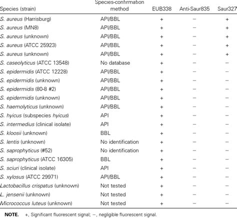 Results Of 23s Rrna Targeted Fluorescent In Situ Hybridization Using Download Table