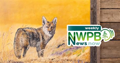 Nwpb Weekly News Now Idahos Gender Affirming Care Bill Record Fire