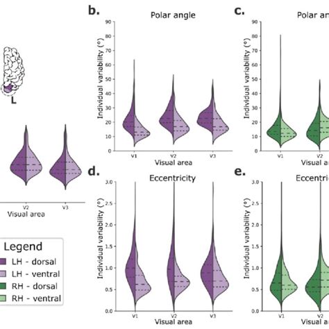 Individual Variability In Visual Field Maps Of Early Visual Areas A