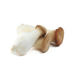 Buy King Oyster Mushroom In Singapore Great Deals Guaranteed