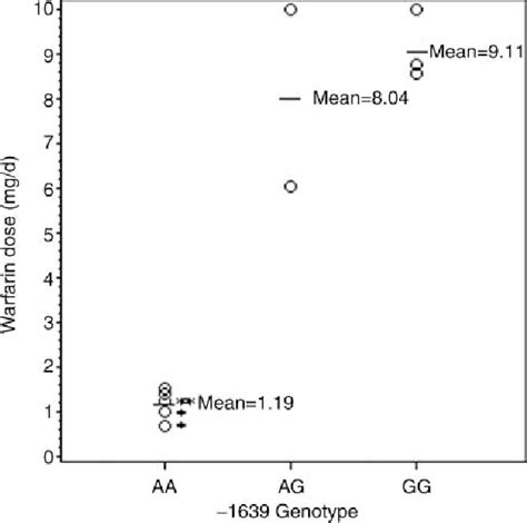 Vkorc1 Gene Semantic Scholar