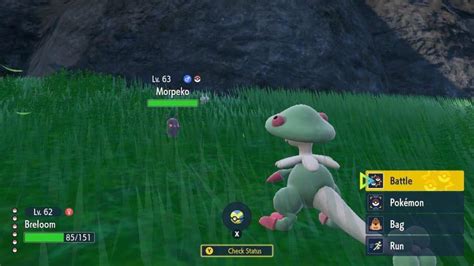 How To Get Morpeko In Pokemon Scarlet And Violet Prima Games