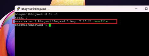 Understanding The Chown Command In Linux