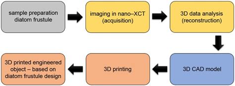 Flow Diagram For 3d Printing Of An Engineered Object Based On The 3d Download Scientific