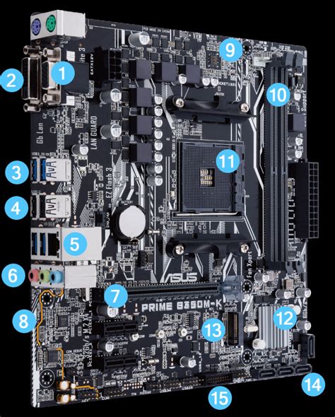 ASUS Prime B350M-A B350 Motherboard review - Gaming PC EX COOL