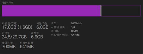 윈도우 메모리 누수 대처하기