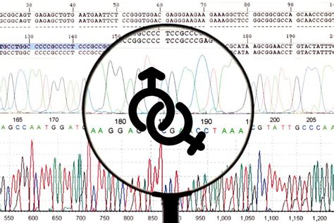 Androgen Insensitivity Syndrome