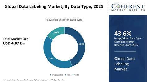 Data Labeling Market Trends Share And Forecast 2025 2032