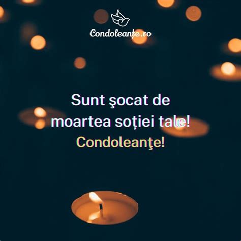 In Memoriam Diana Maria Cazacu