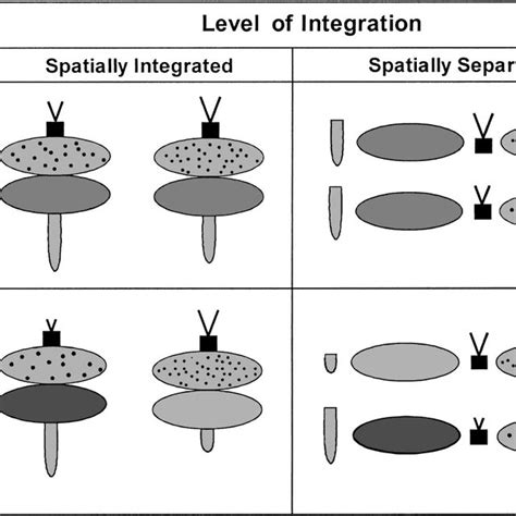 The Prototypes For The Four Stimulus Sets Used In Experiment 4