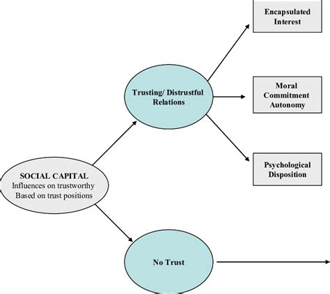 Trust Distrust No Trust Scenarios And Social Capital Download
