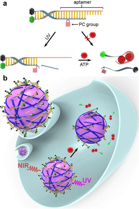 Upconversion Luminescence Activated Dna Nanodevice For Atp Sensing In