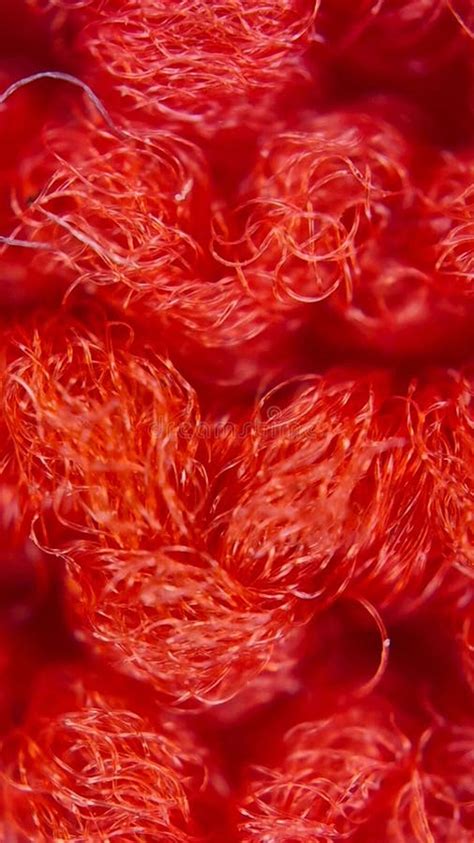 Cotton Details A Macro Video Of Textiles Under The Microscope Stock