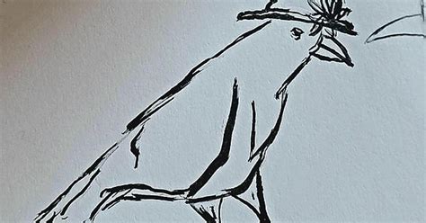 Todays Art Comic From An Amateur Hobbyist With Extra Cat Tax At The End Album On Imgur