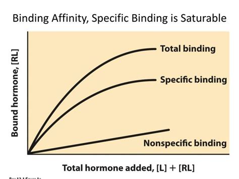 Ppt Bio Signaling Lehninger Chapter 12 Powerpoint Presentation Id 834512
