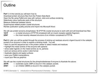 Protein Molecule Interactions Pymol PPT