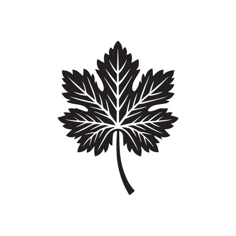 Oak Twig Isolated On White Background 53660325 Vector Art At Vecteezy