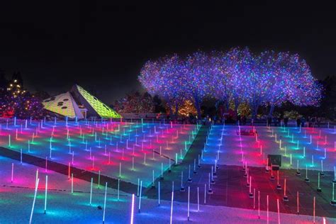 Blossoms Of Lights Generates Joy And Revenue For Denver Botanic Gardens